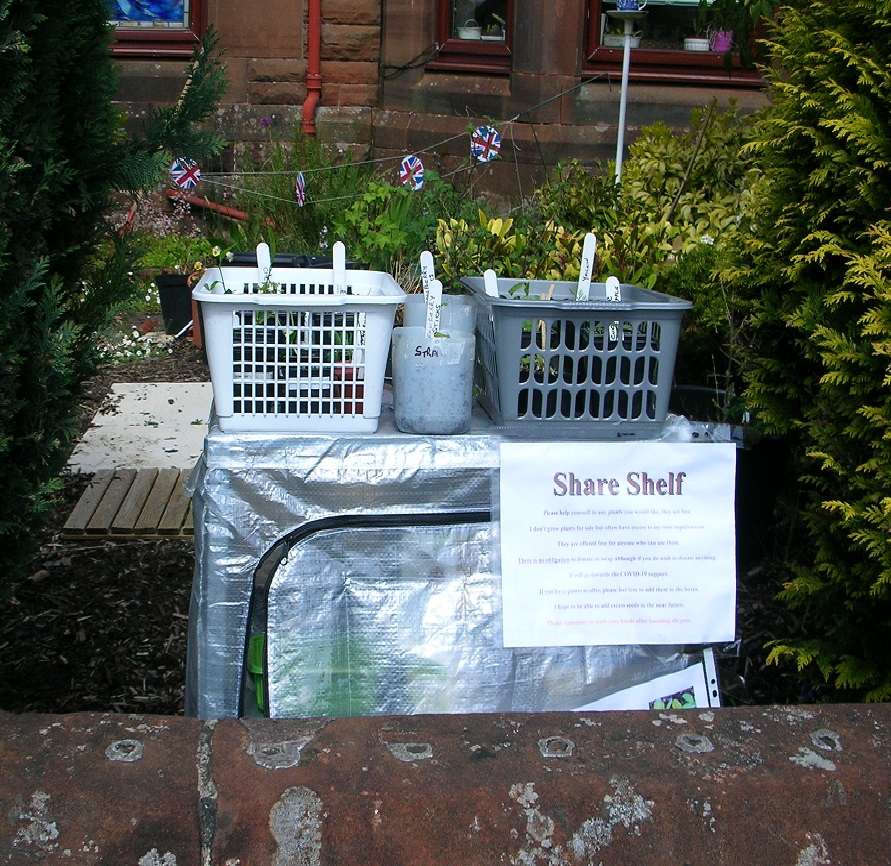 A New Start – themagnoliatreeblog